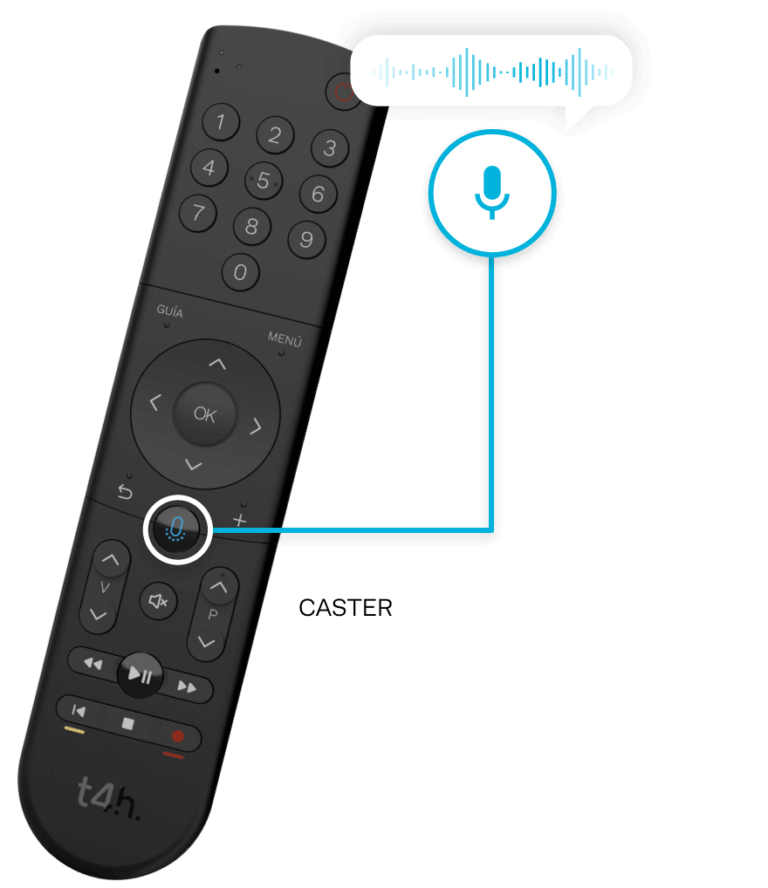 Voice Remote Controls - t4h (Tech4home)