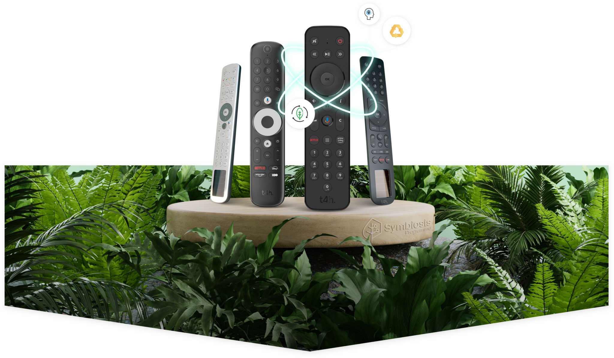 Symbiosis Programme - t4h (Tech4home)